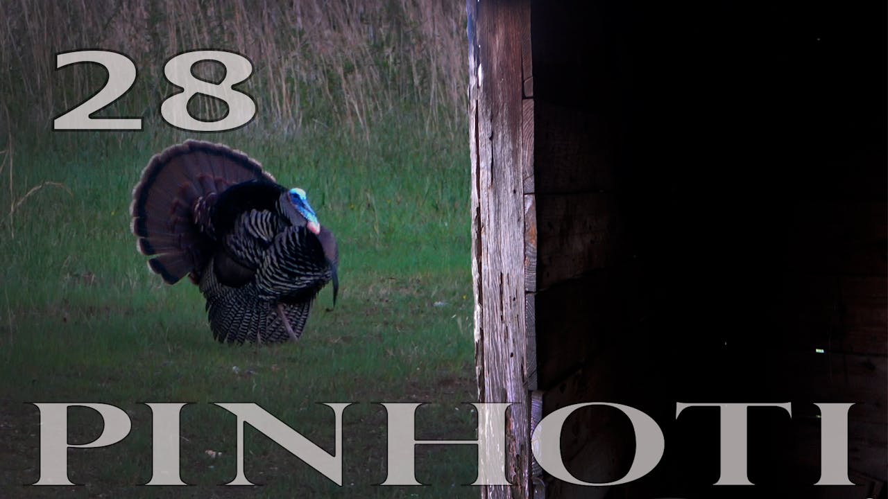 Pinhoti 2022 Ep 28 • Pinhoti Project - Season 5 - Mossy Oak GO