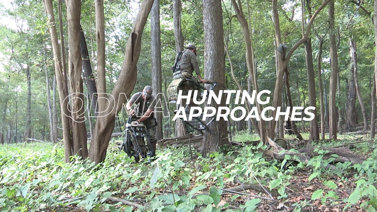 Hunter Behavior In the Field - Mossy Oak GO