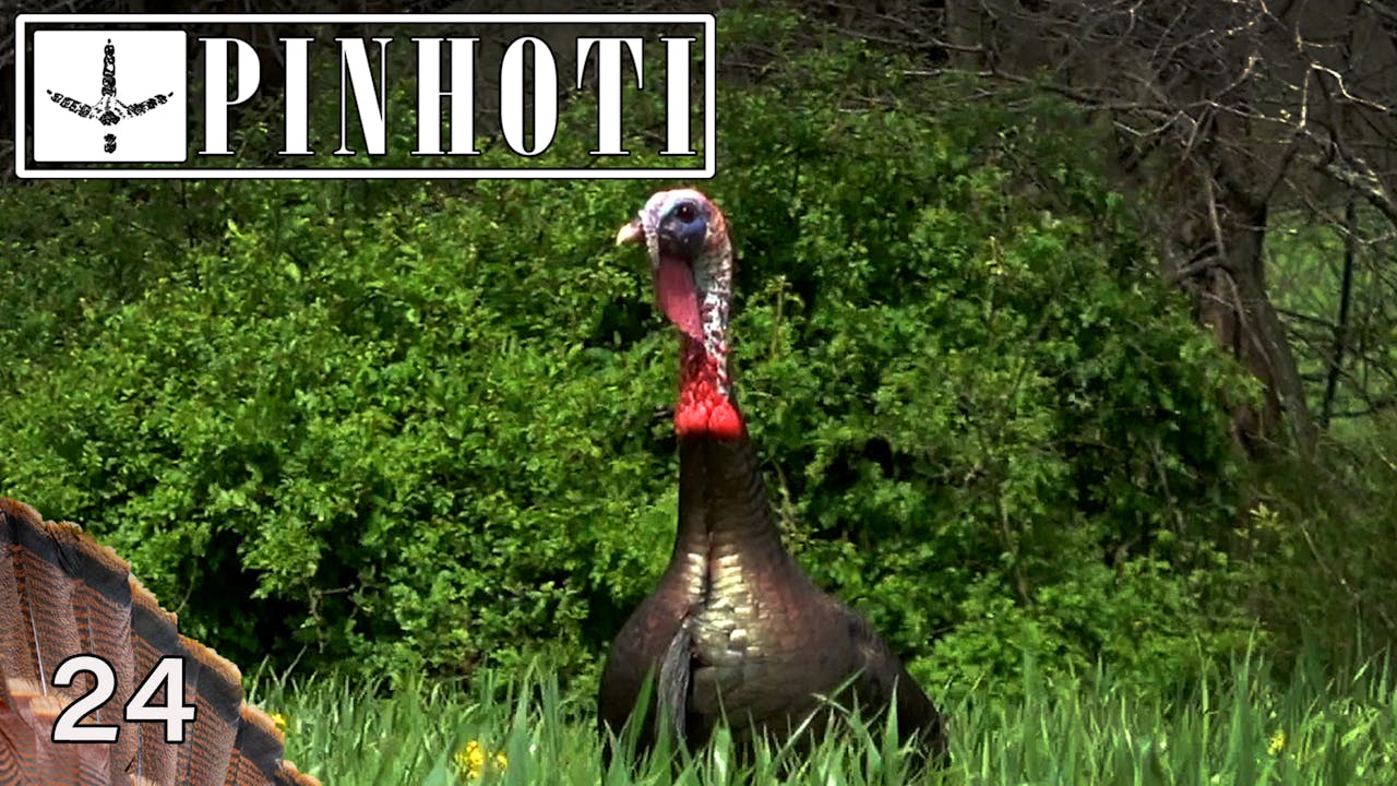 Pinhoti 2021 Ep 24 • Pinhoti Project - Season 4 - Mossy Oak GO