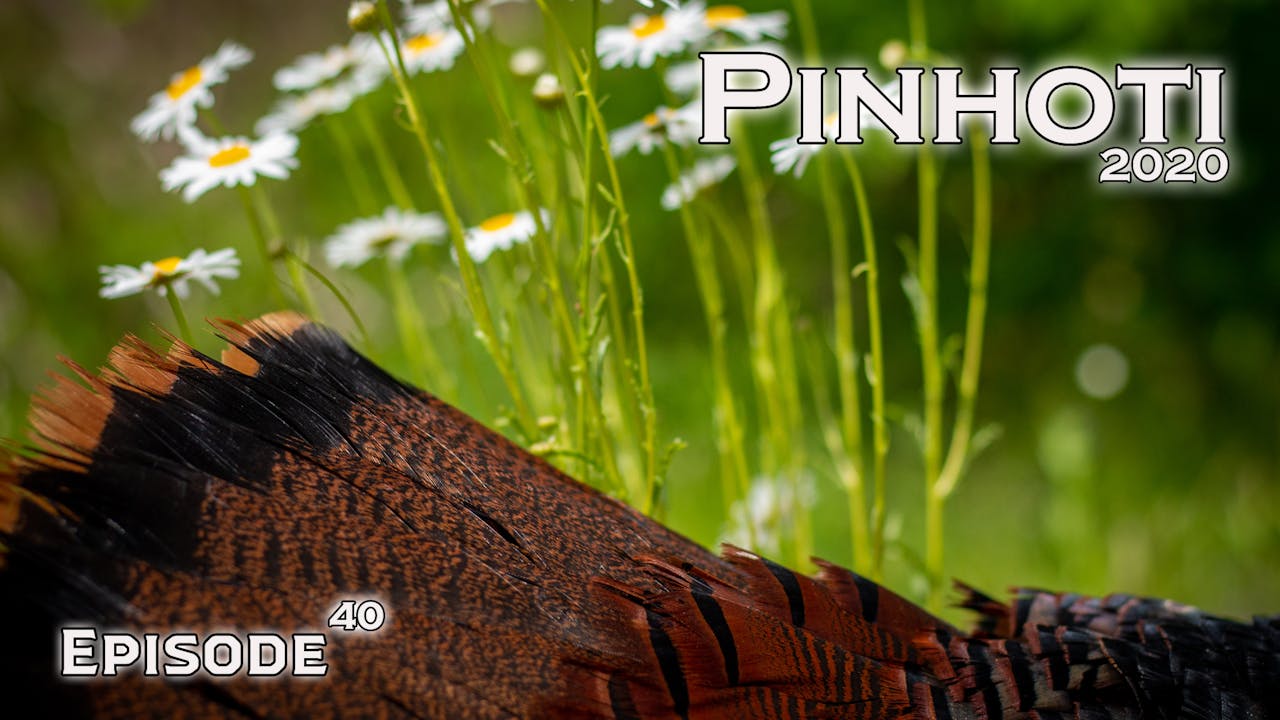 Pinhoti 2020 Ep 40 • Pinhoti Project - Season 3 - Mossy Oak GO
