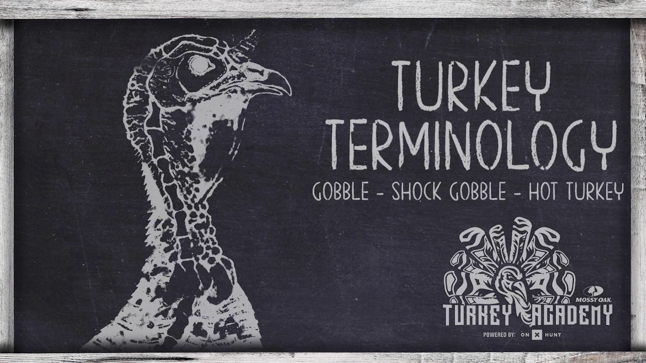 OnX Turkey Academy • Lesson 2 | Gobble - Shock Gobble - Hot Turkey ...