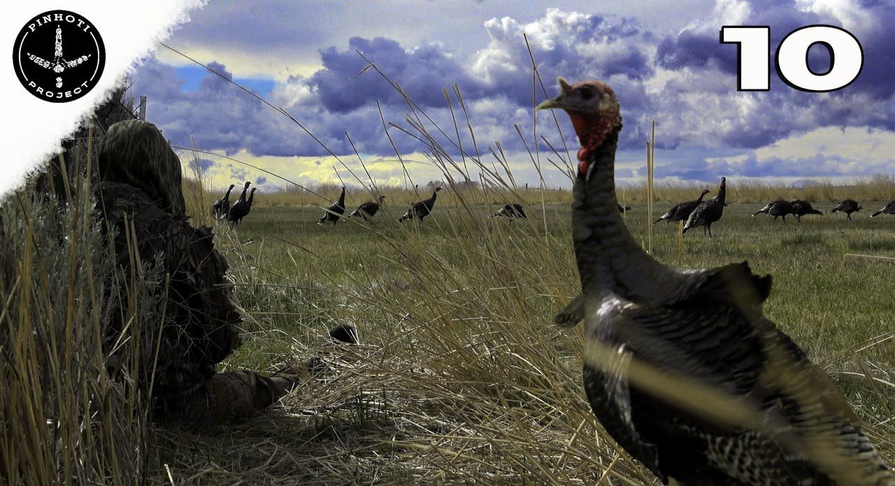 Pinhoti 2024 Ep 10 • Pinhoti Project - Season 7 - Mossy Oak GO