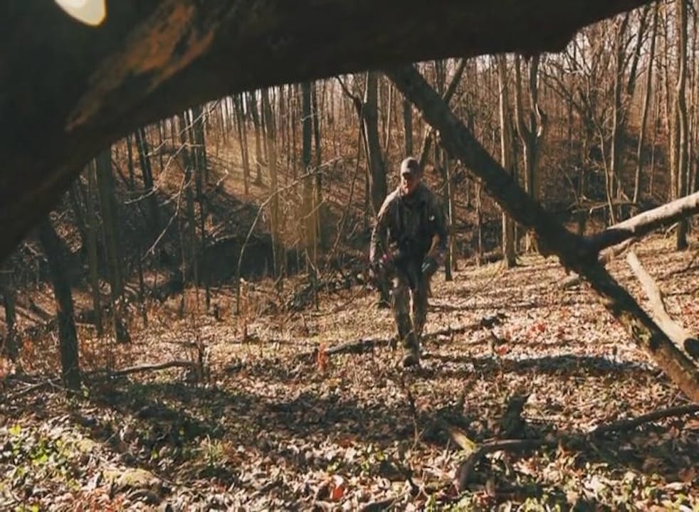 Back to the Beginning • Deer and Hogs in Mississippi - Wild Hog - Mossy ...