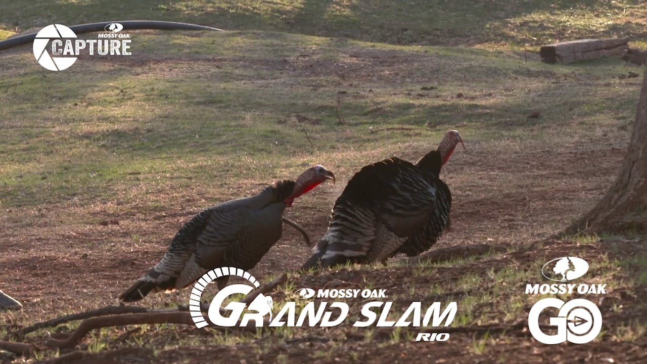 Grand Slam • Episode 7 • Rios - Season 1 - Mossy Oak GO