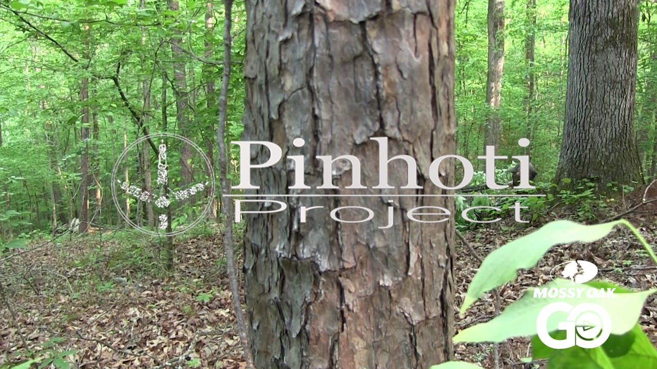 Last Day Limbhanger • Pinhoti Project Day 68 - Mossy Oak GO