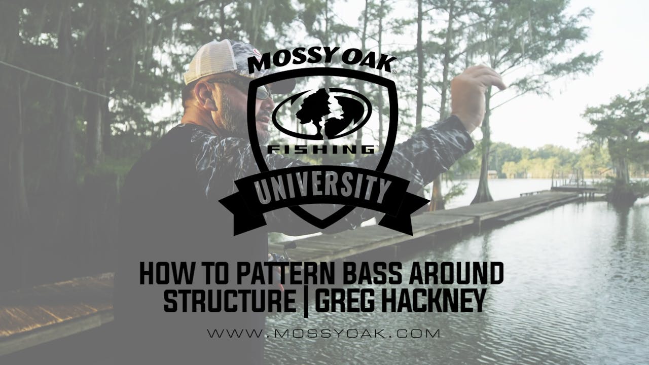 How to Pattern Bass Around Structure | Summer Bass Fishing - Season 1 ...