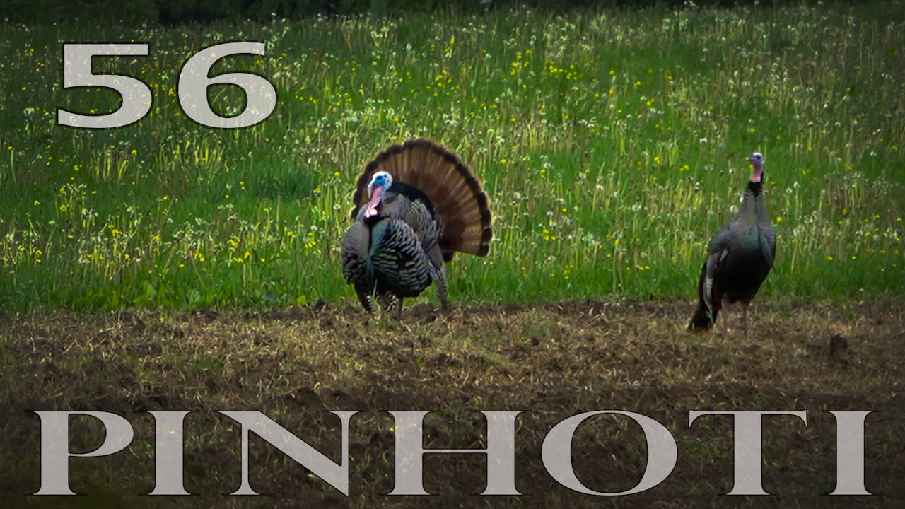 Pinhoti 2022 Ep 56 • Pinhoti Project - Season 5 - Mossy Oak GO