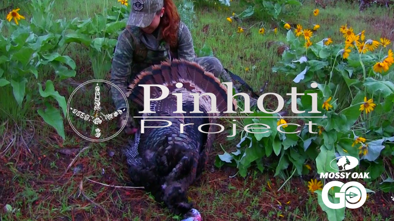 Incredible Roost Hunt For A Merriam Turkey • Pinhoti Project Day 65 ...