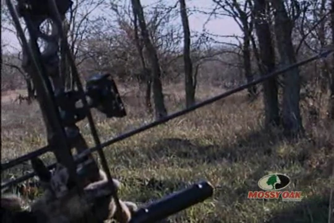 Grounded in Texas • Bowhunting Bucks at Eye Level - Mossy Oak GO