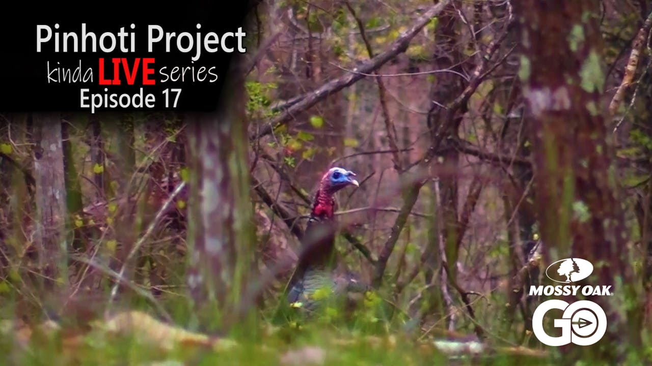Kinda Live • Episode 17 • Pinhoti Project - Mossy Oak GO