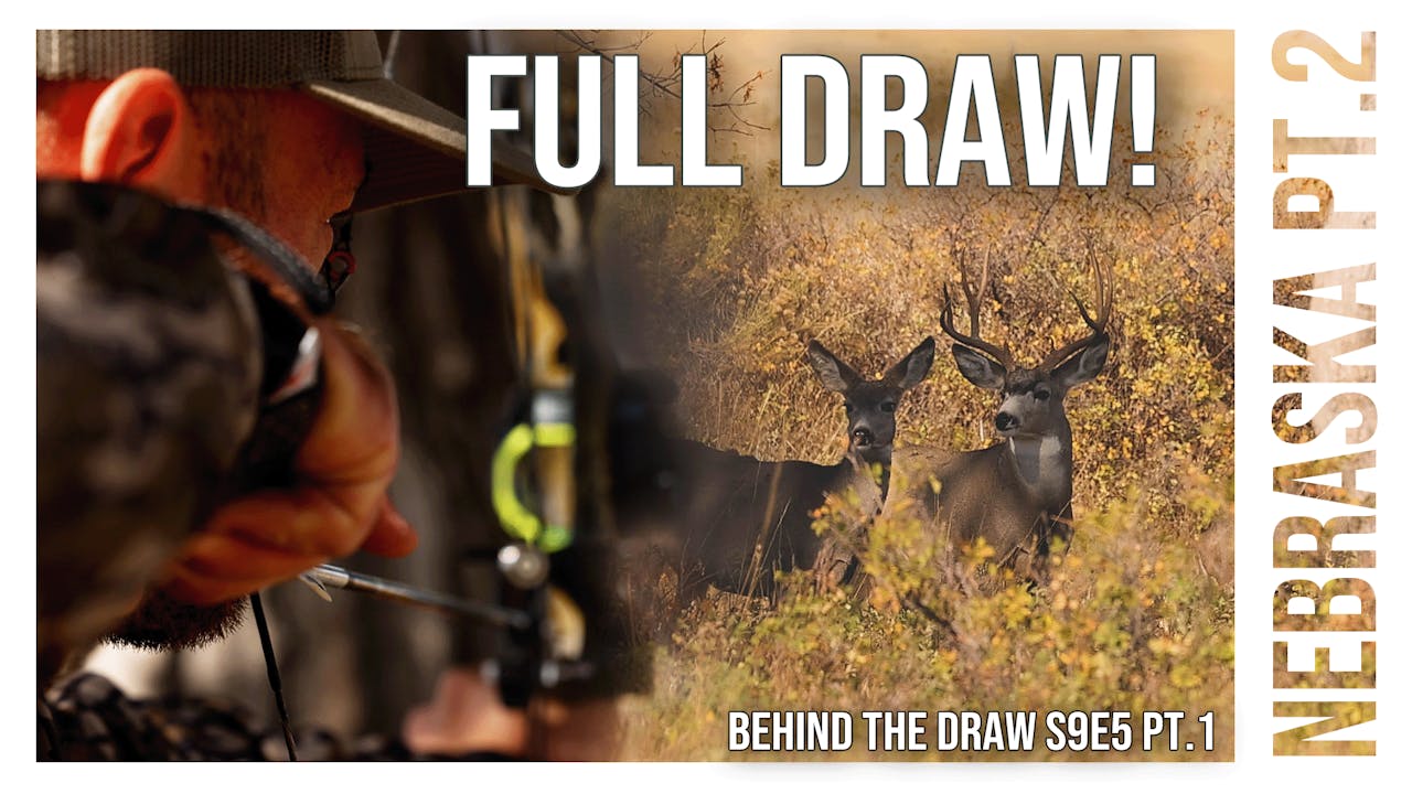 Spot and Stalk Bow Hunting in Nebraska • Heartland Bowhunter • Behind ...