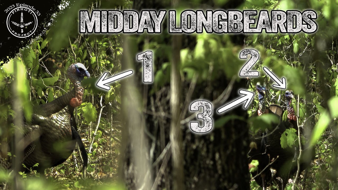 Pinhoti 2023 Ep 33 • Pinhoti Project - Season 6 - Mossy Oak GO