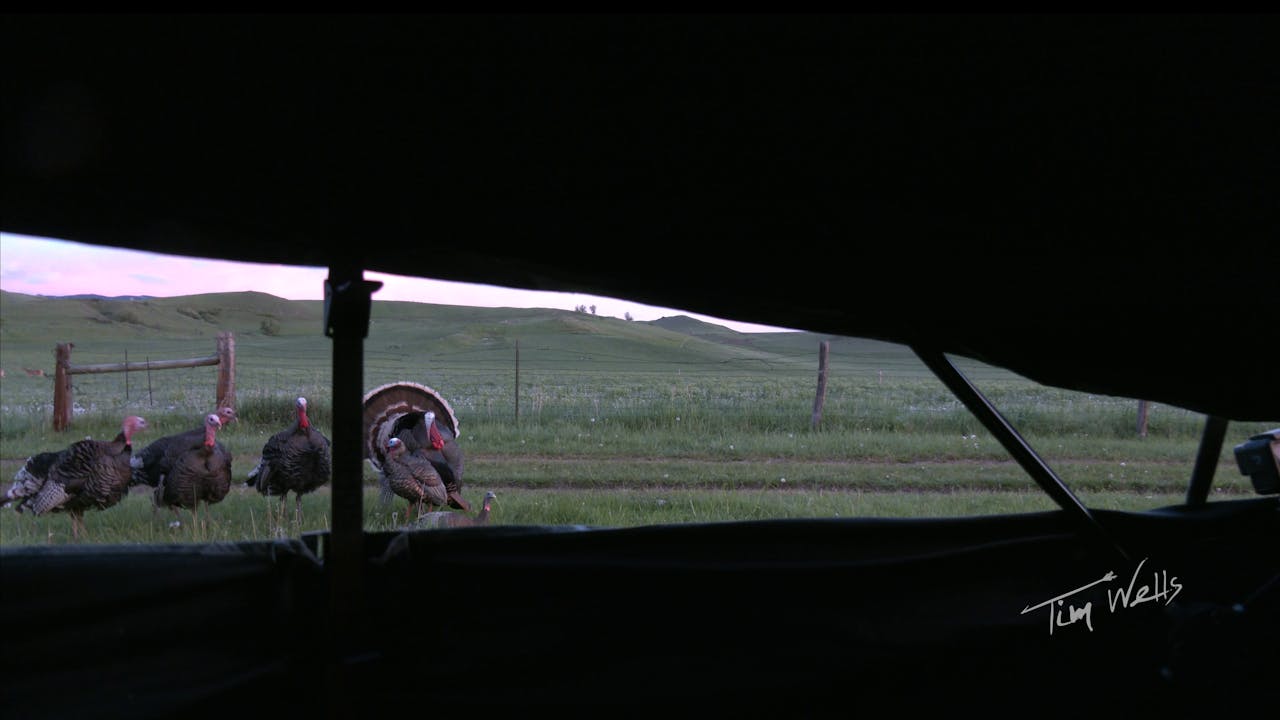 Wyoming • Tim Wells - Mossy Oak GO