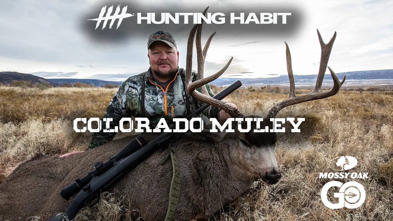 Hunting Habit · Colorado Muley - Mossy Oak GO