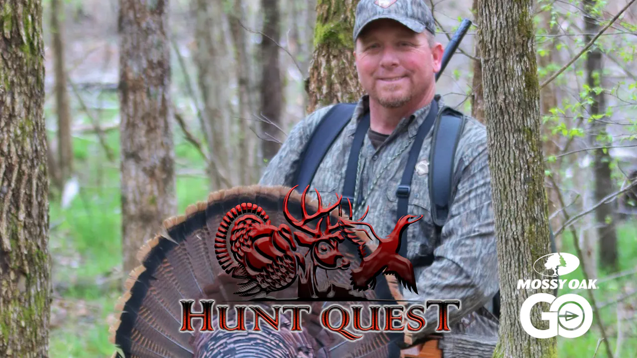South Carolina public land gobbler action! Part 2 • Hunt Quest - Mossy ...