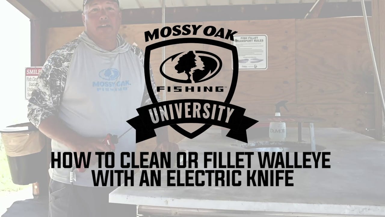 How To Clean or Fillet Walleye with an Electric Knife - Mossy Oak GO