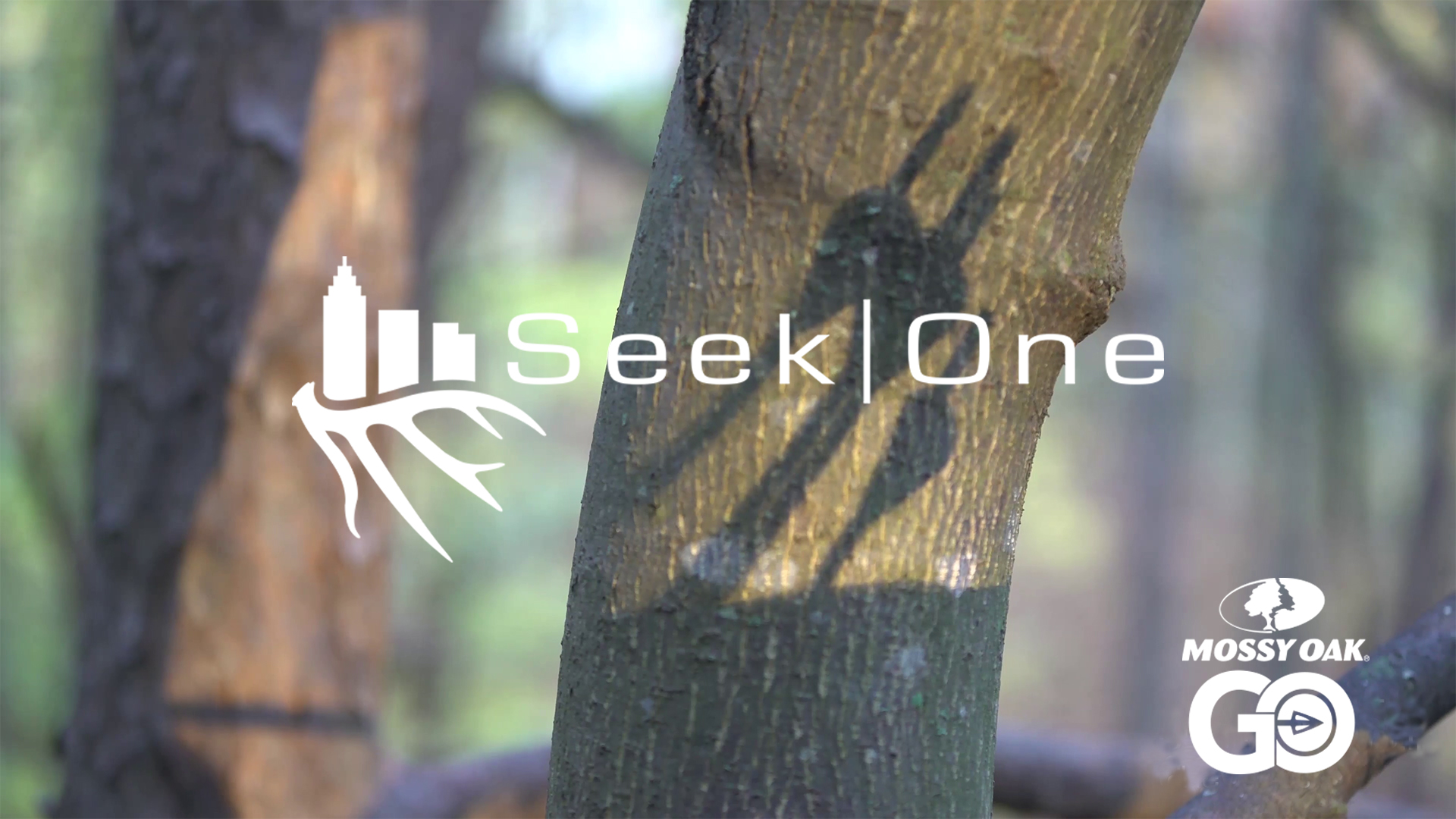 Seek One - Mossy Oak GO