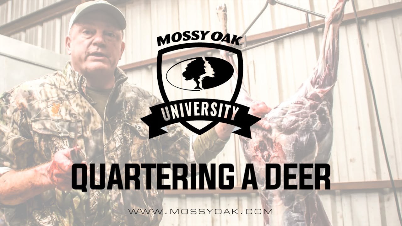 How To Butcher and Process a Deer at Home - Quartering a Deer - Mossy ...