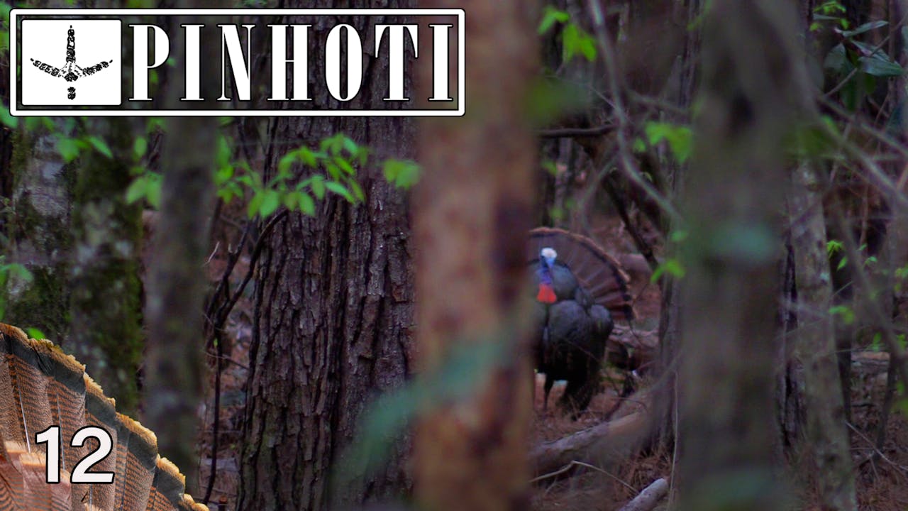 Pinhoti 2021 Ep 12 • Pinhoti Project - Season 4 - Mossy Oak GO