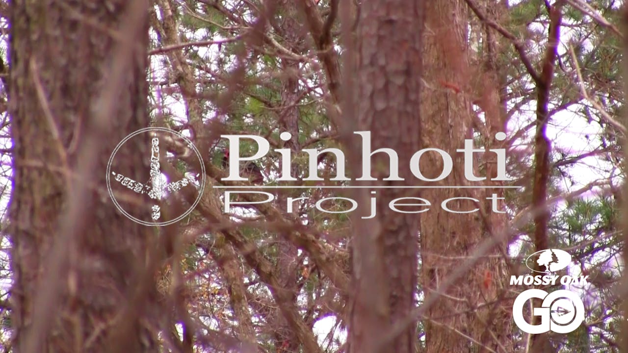 Georgia Public Land Turkey Hunting • Pinhoti Project Day 20.21 - Mossy ...