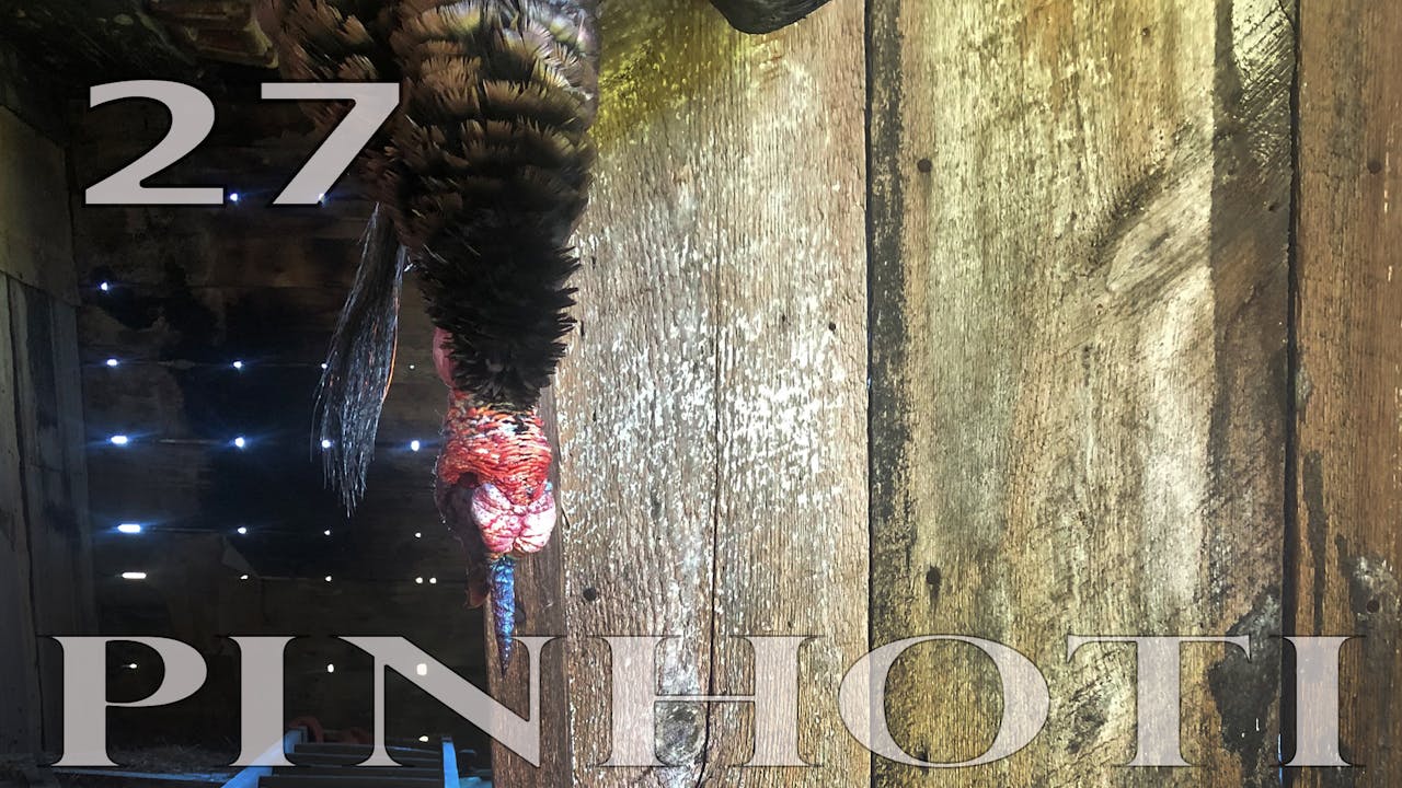 Pinhoti 2022 Ep 27 • Pinhoti Project - Season 5 - Mossy Oak GO