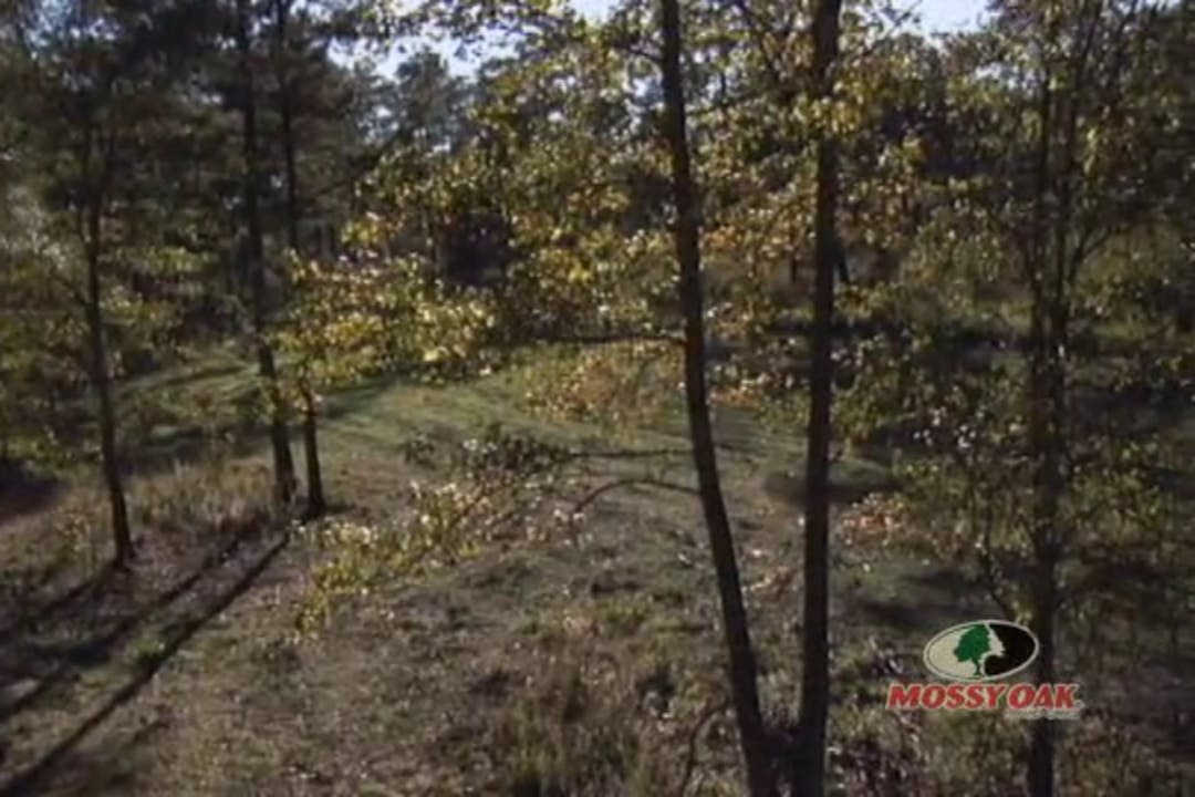 Big Alabama Buck • Whitetails in the Black Belt - Mossy Oak GO