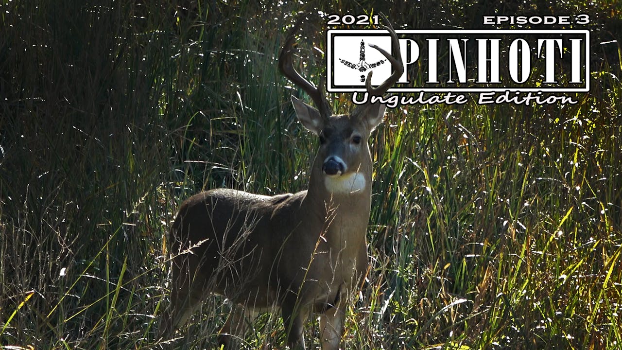 Ungulate Edition 2021 Ep3 • Pinhoti Project - Season 3 - Mossy Oak GO