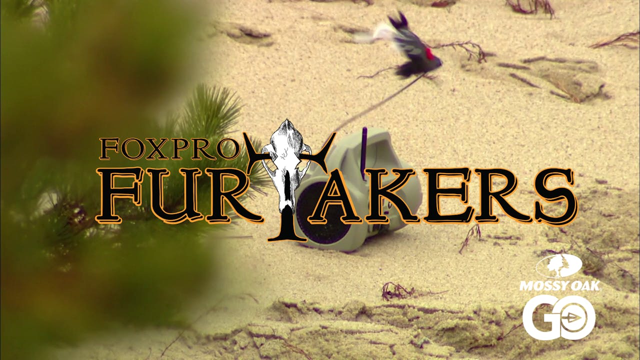 FOXPRO 1207 Cape Cod • Furtakers - Mossy Oak GO
