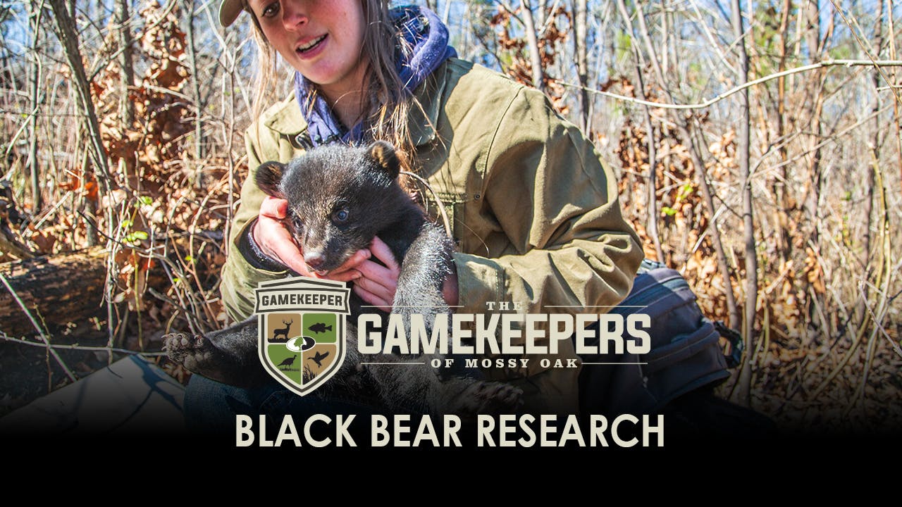 Black Bear Research • Gamekeepers - Mossy Oak GO