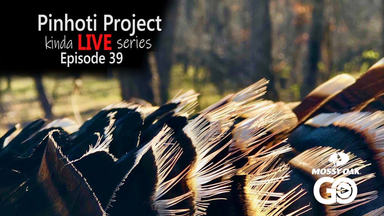 Kinda Live • Episode 39 • Pinhoti Project - Season 2 - Mossy Oak GO