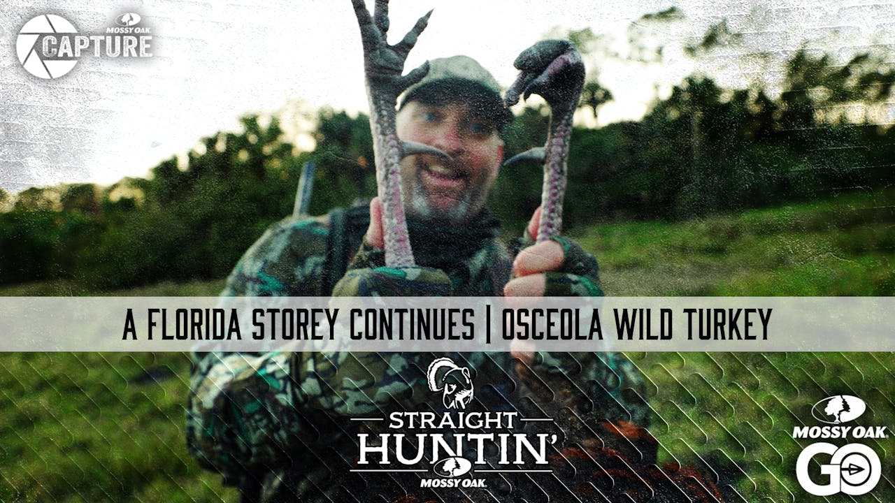 The Florida Storey Continues: Osceola Wild Turkey • Straight Huntin ...