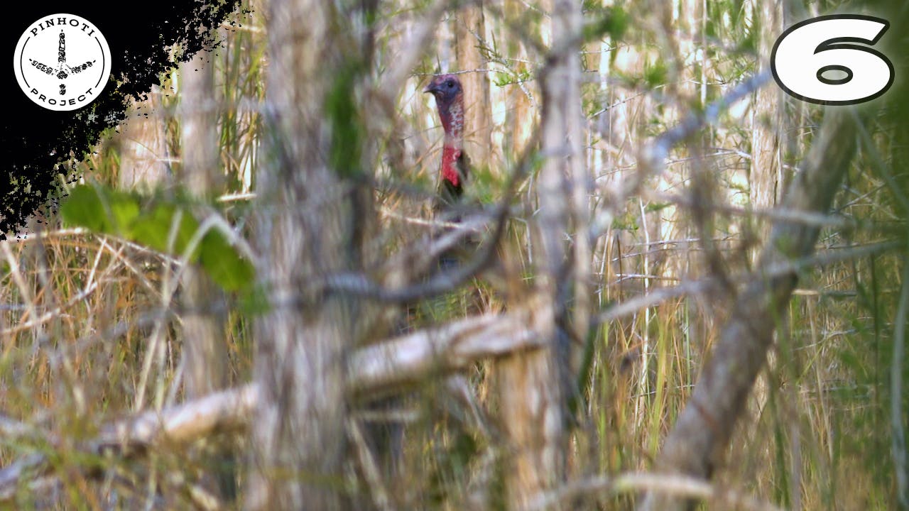 Pinhoti 2025 Ep 6 • Pinhoti Project - Season 8 - Mossy Oak GO