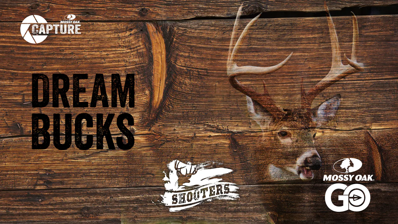 Dream Bucks • Shooters - Mossy Oak GO