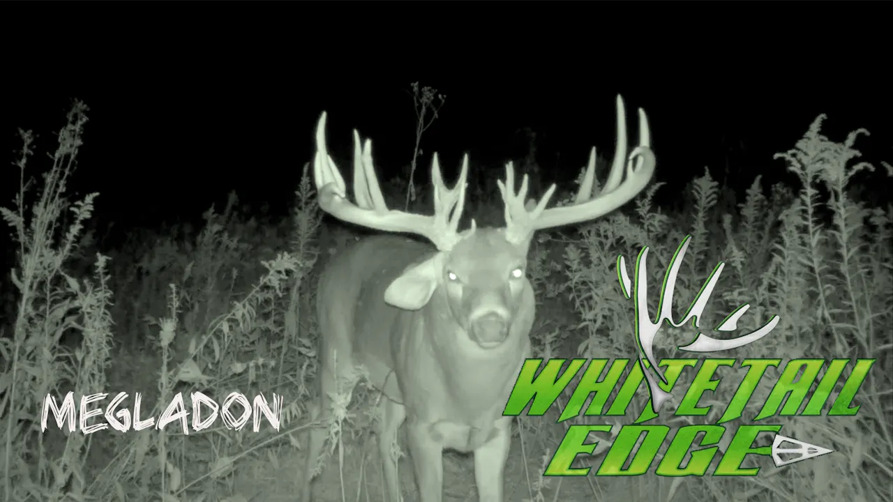 Megladon • Whitetail Edge Season 4 Mossy Oak Go 2170