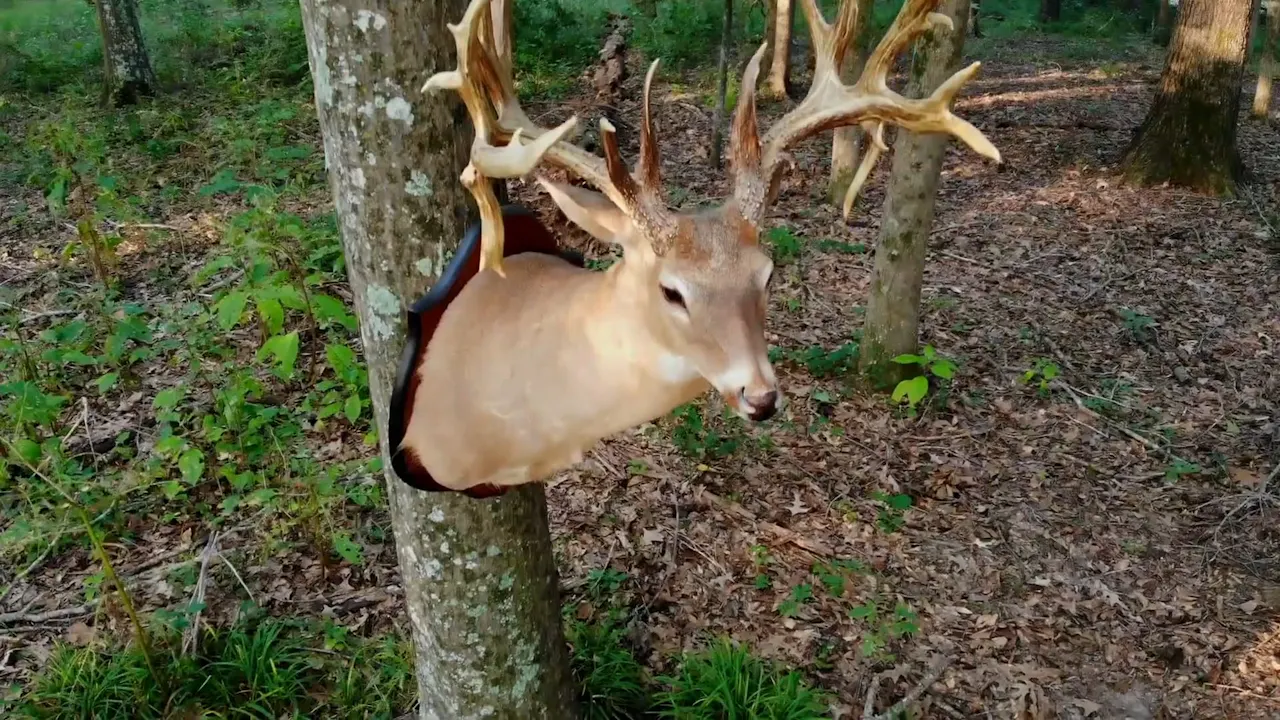 The Lunar Booner • My Deer Story 1981 - Cuz 411 Season 1 - Mossy Oak GO