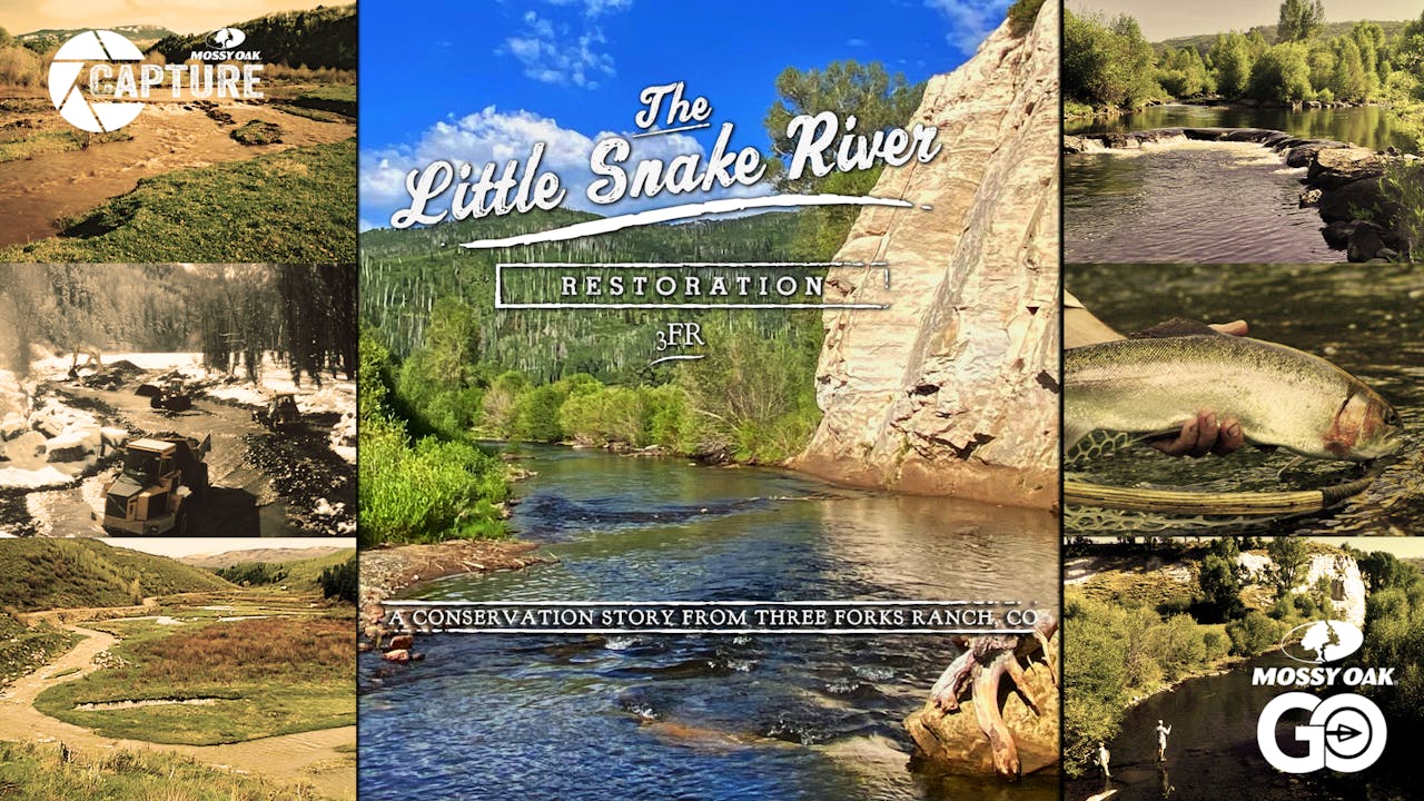 Little Snake River Restoration | Colorado Conservation - Mossy Oak GO