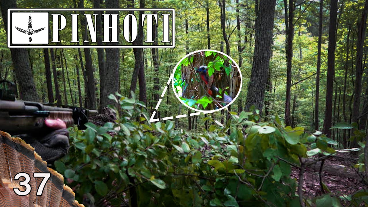 Pinhoti 2021 Ep 37 • Pinhoti Project - Season 4 - Mossy Oak GO