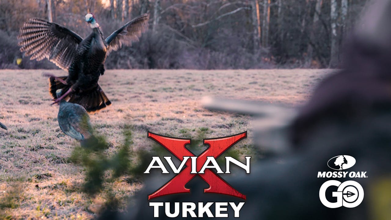 RECRUITMENT • Avian X - Mossy Oak GO