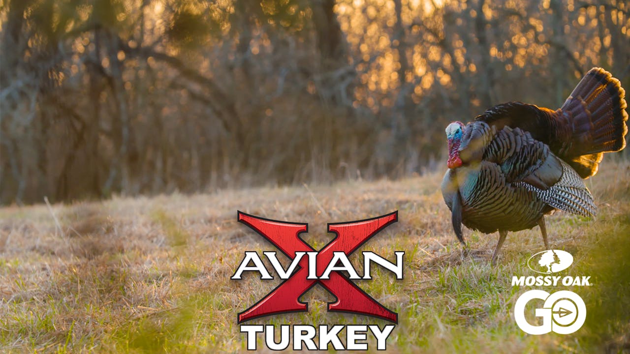 KARMA • Avian X - Mossy Oak GO