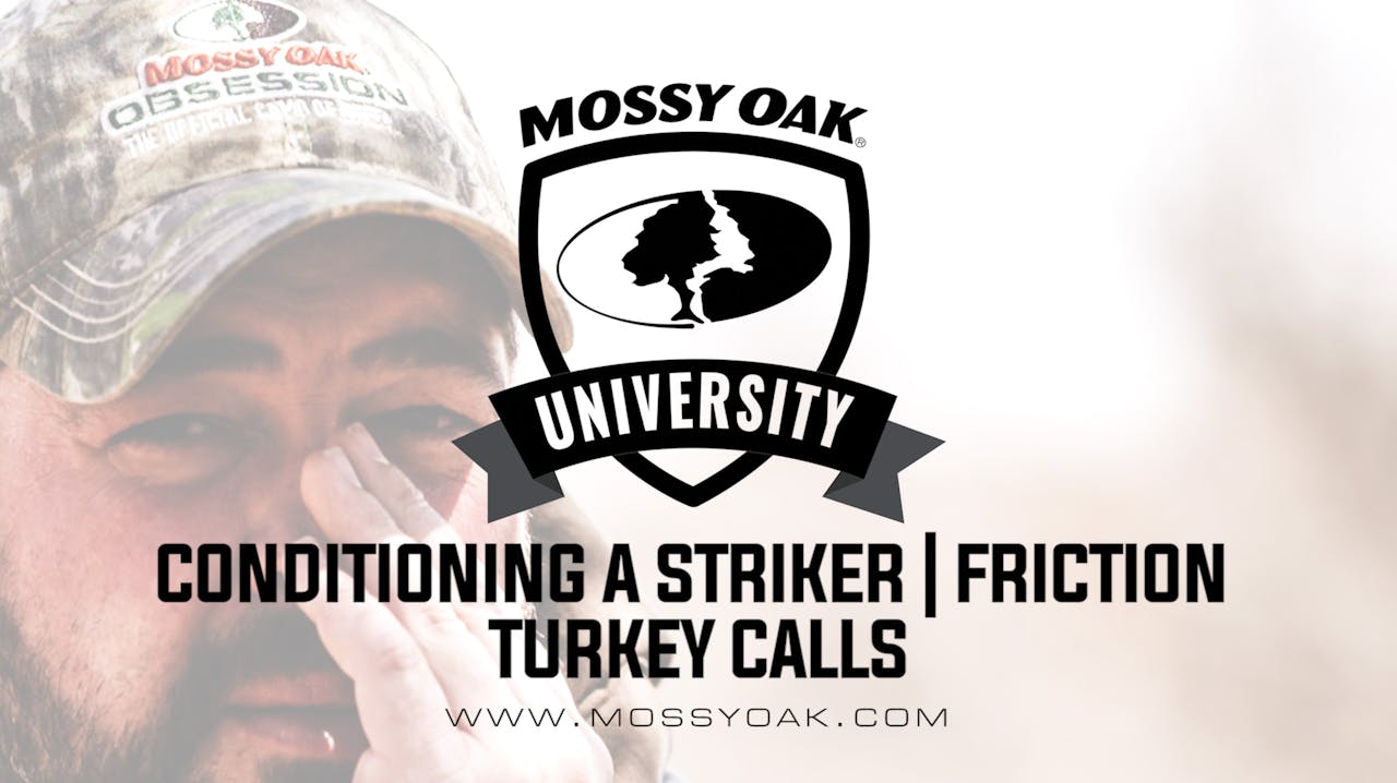 How to Condition a Turkey Call Striker • Friction Call Maintenance ...