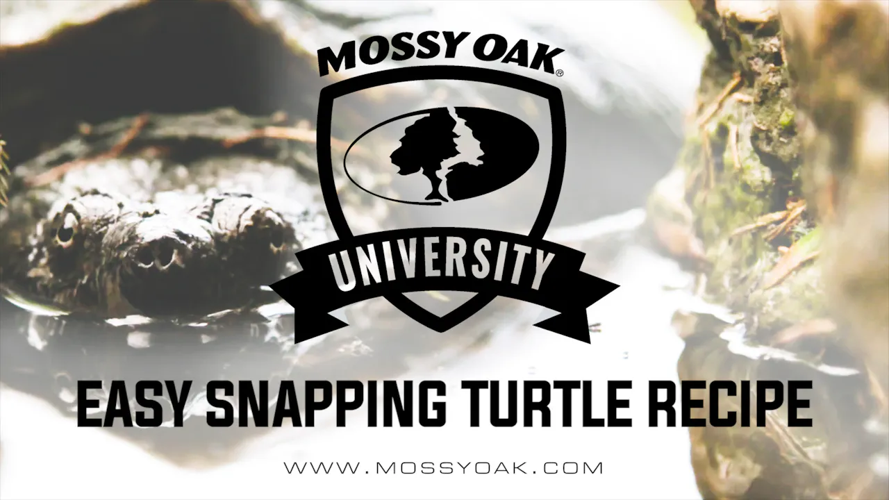 How To Cook A Snapping Turtle | Turtle Recipe - Mossy Oak GO