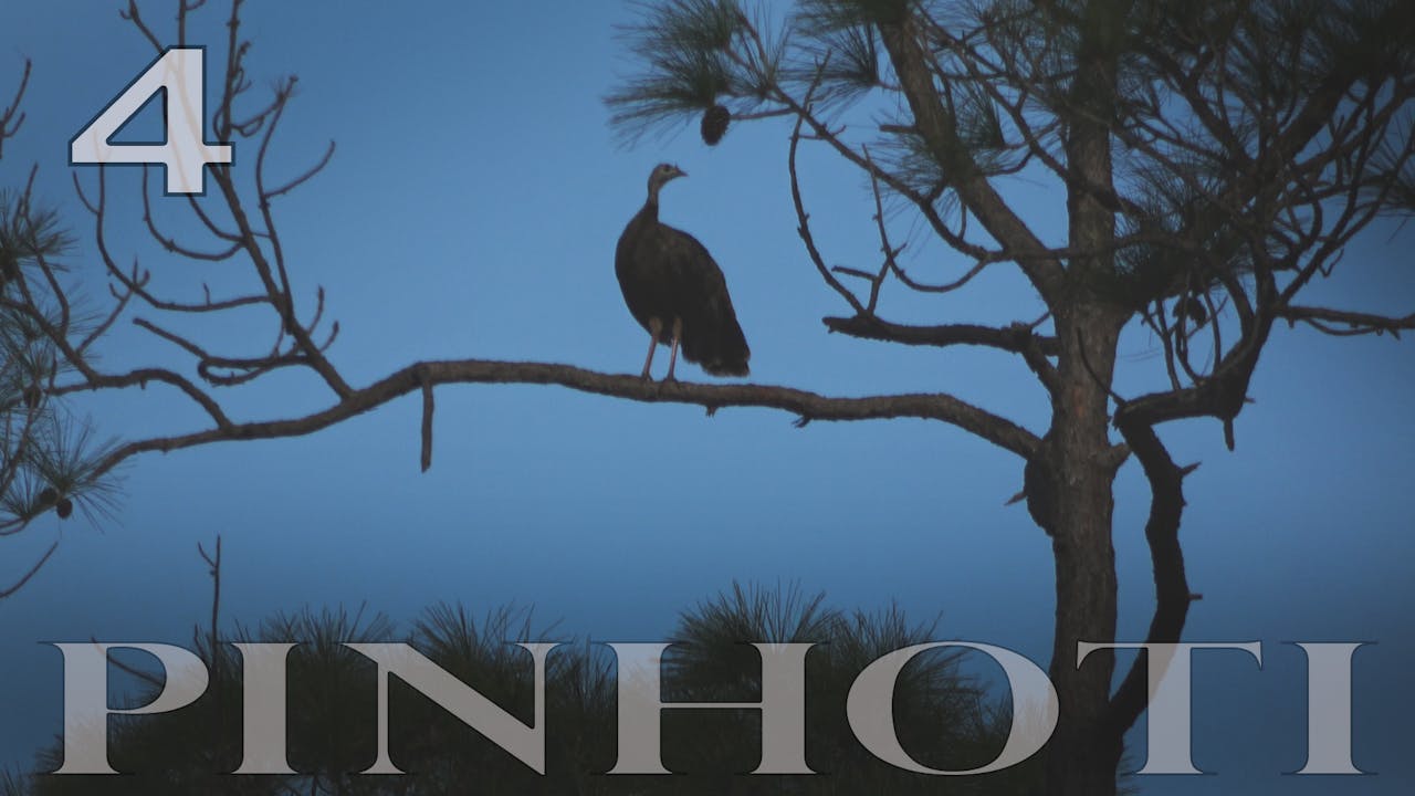 Pinhoti 2022 Ep 4 • Pinhoti Project - Season 5 - Mossy Oak GO