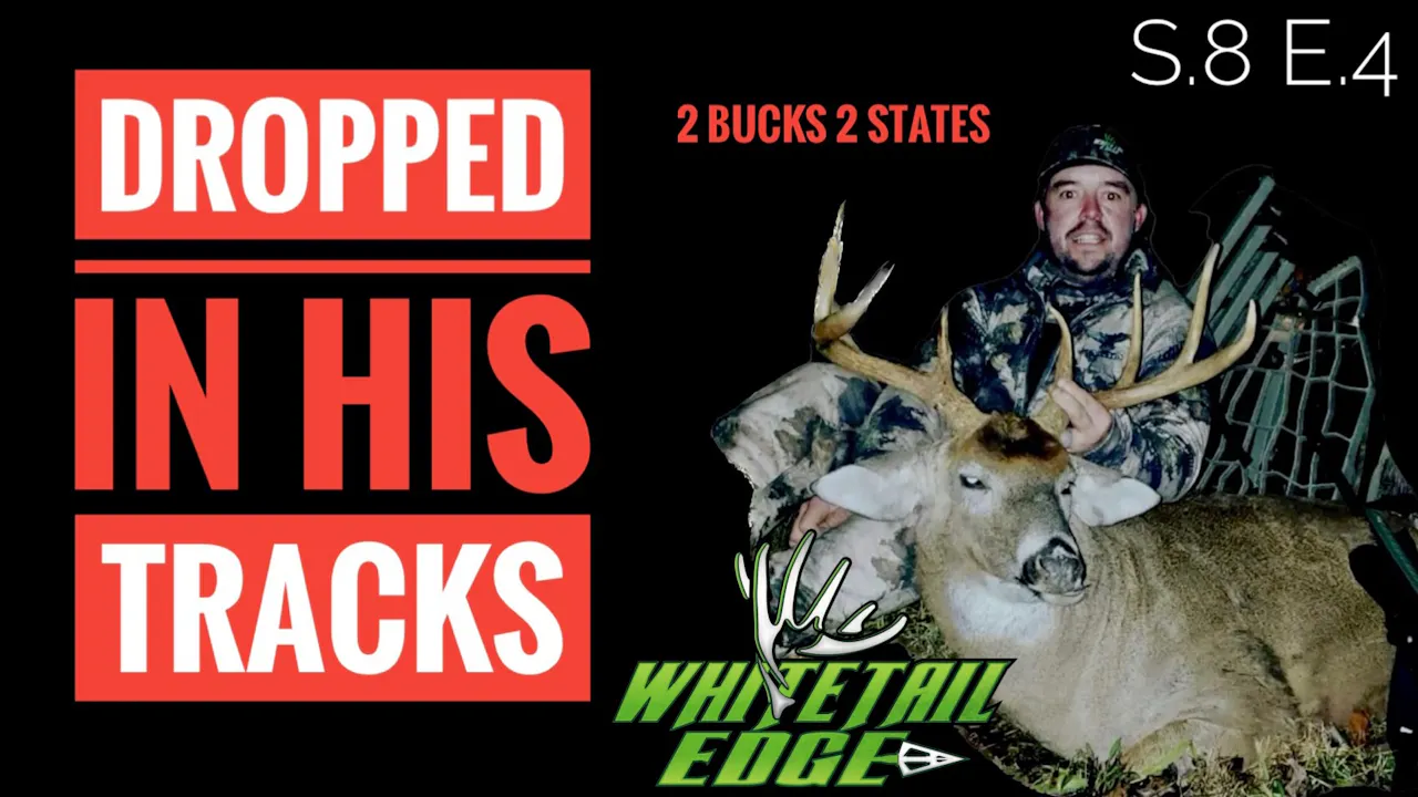 Dropped In His Tracks • Whitetail Edge Mossy Oak Go 9098