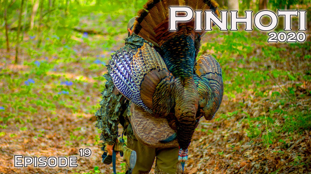 Pinhoti 2020 Ep 19 • Pinhoti Project - Season 3 - Mossy Oak GO