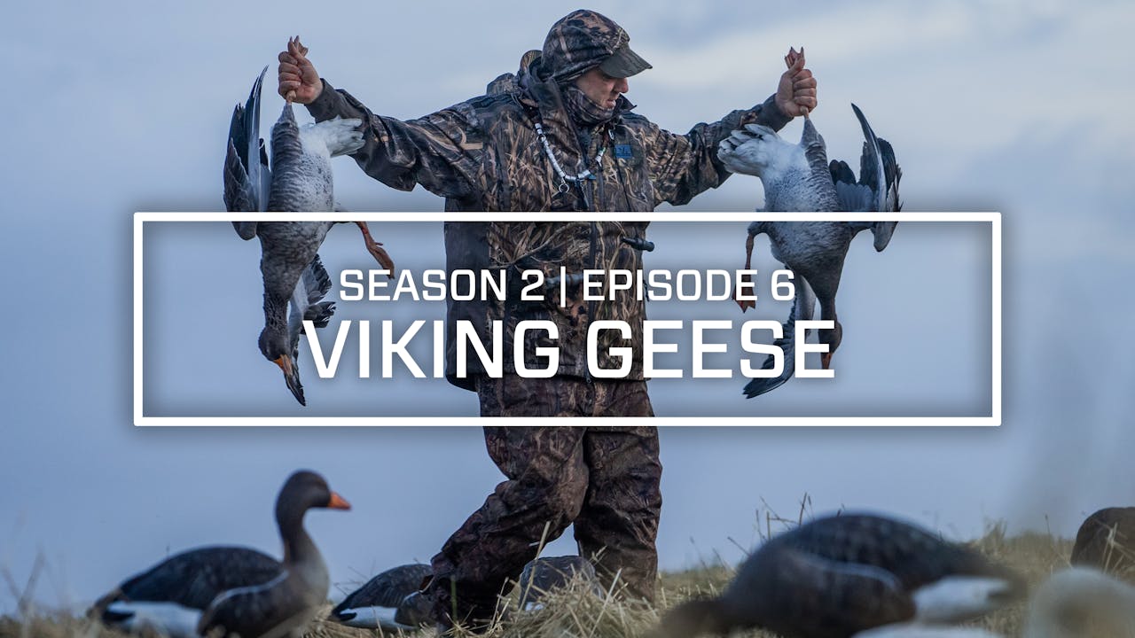 Last Pass Episode 6 • Vikinga Gaesir (Viking Geese) - Season 2 - Mossy ...