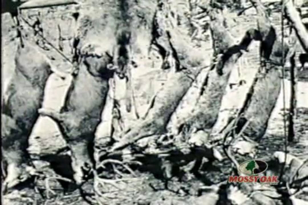 Farmers and Hunters Feeding the Hungry • Deer Hunts Provide Food for ...