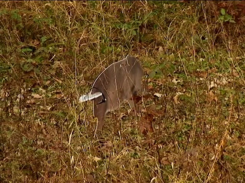 Bad Luck • A Hunters Superstition - Mossy Oak GO