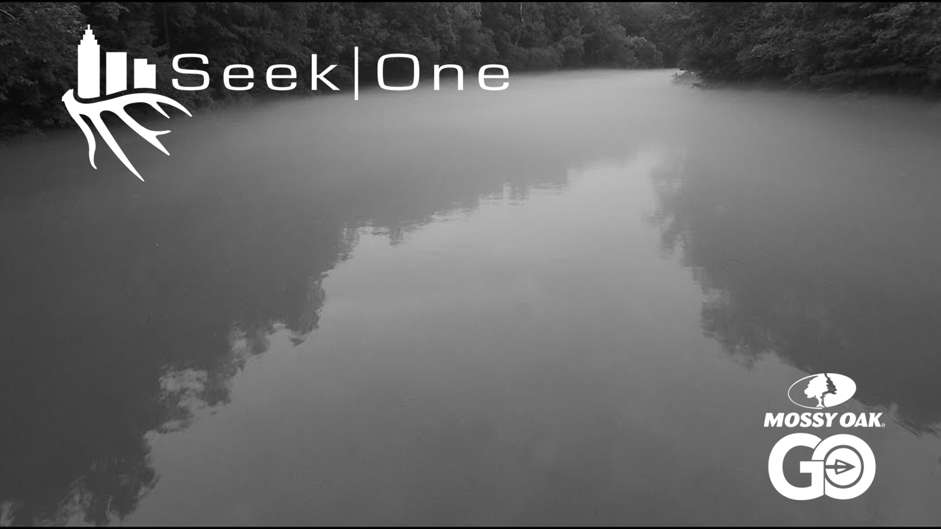 Seek One - Mossy Oak GO