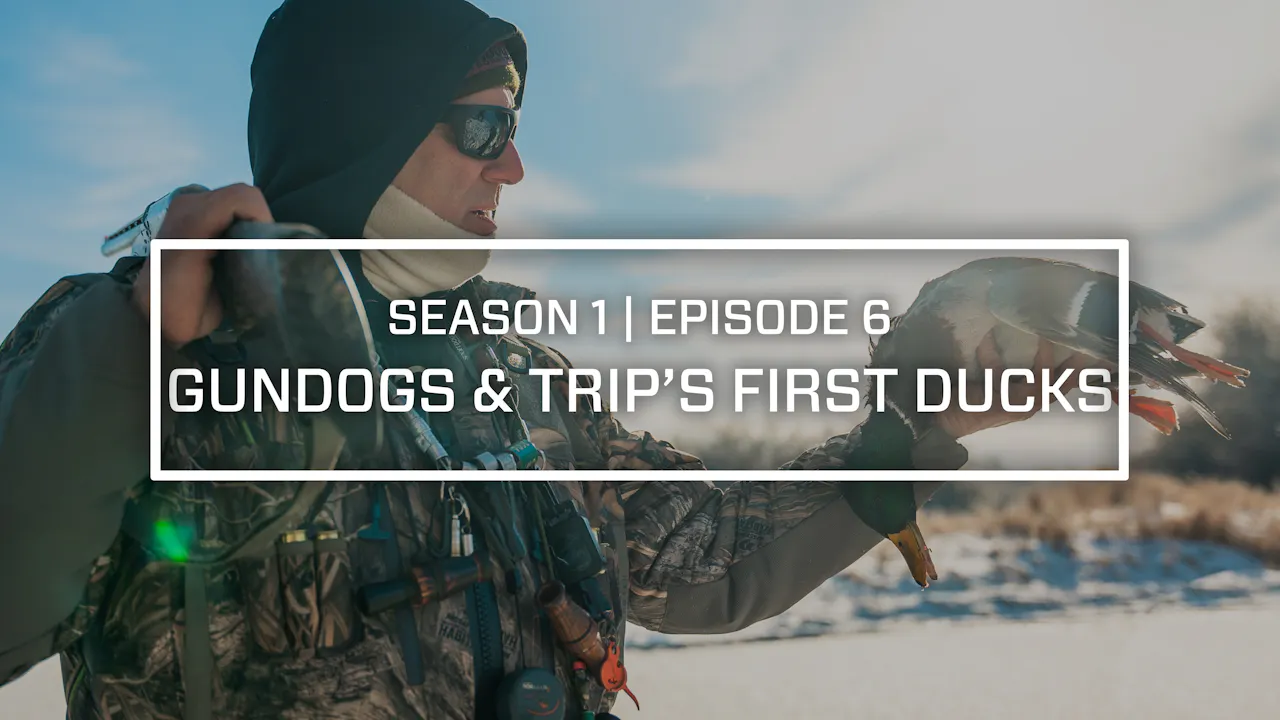 Last Pass Episode 6 • Gundogs & Trip's First Ducks • Final Approach ...