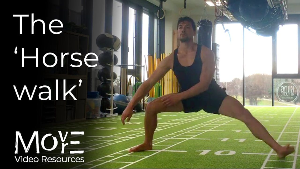 The 'Horse Walk' - 'Bipedal' locomotion: foundational patterns ...